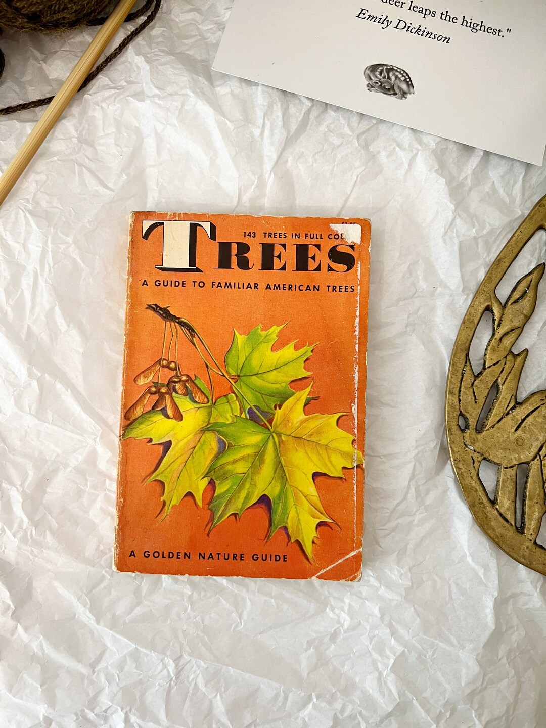 A Golden Guide to Trees of North America - Tree Identification Field ...