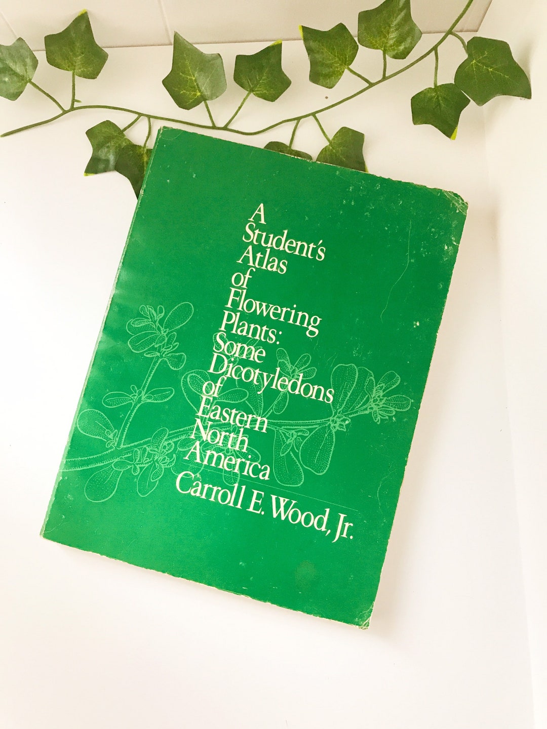 A Student's Atlas of Flowering Plants: Some Dicotyledons of Eastern ...