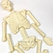 Bag of Bones, Full Chocolate Skeleton, Dia De Los Muertos Chocolates ...