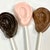 Mini Chocolate Ears Favor Gift Box Audiology Chocolates, ENT, Hearing ...