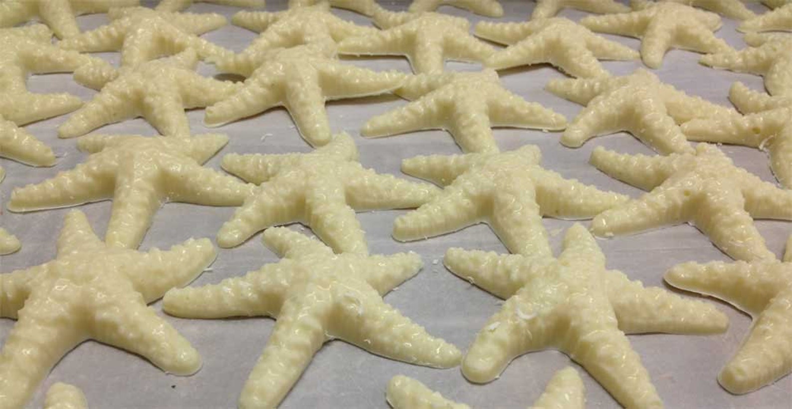 2 Large Chocolate Star Fish, Chocolate Sea Stars Gift Bagged, Tied Wtih ...