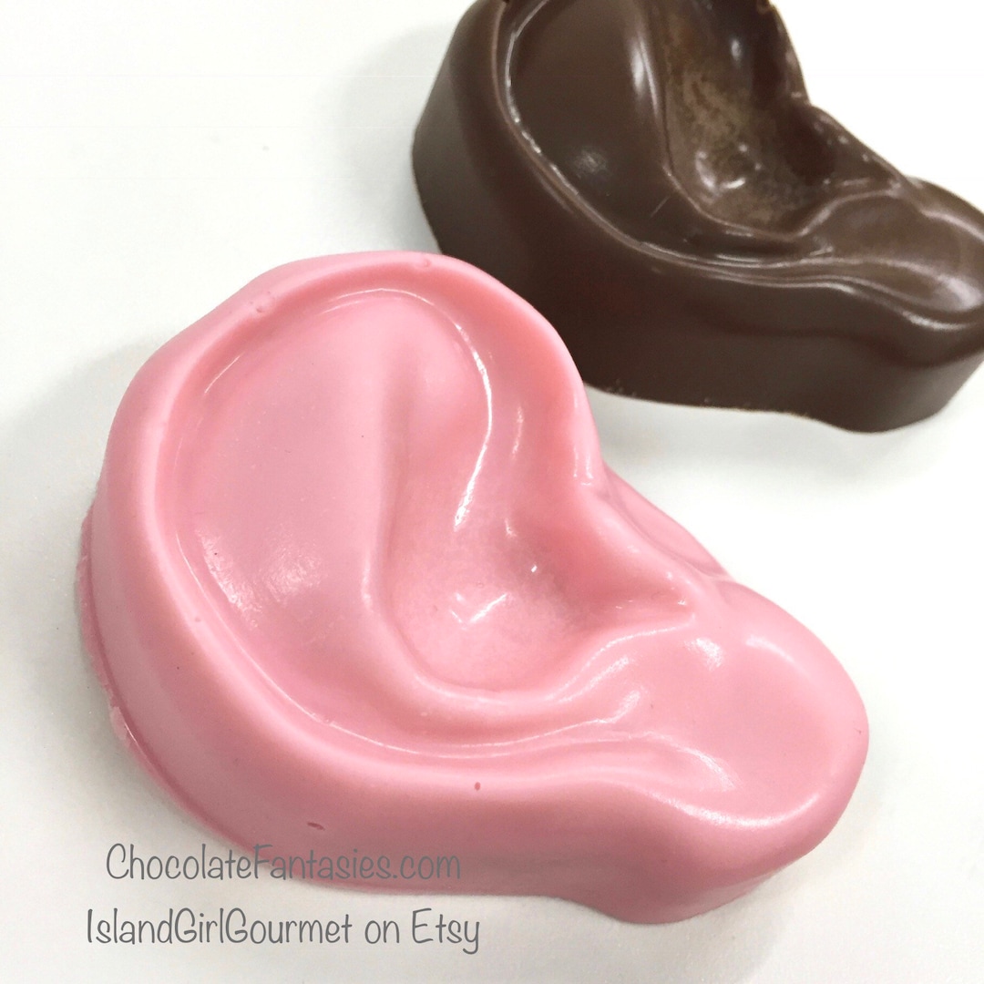 Lifelike Big Chocolate Ear, Audiology Hearing Aid Chocolates, Sold by ...