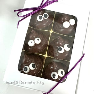 Chocolate Emoji Poop, 6 Pack, Gift Boxed, Crap, Shit, Turd, Insulting ...