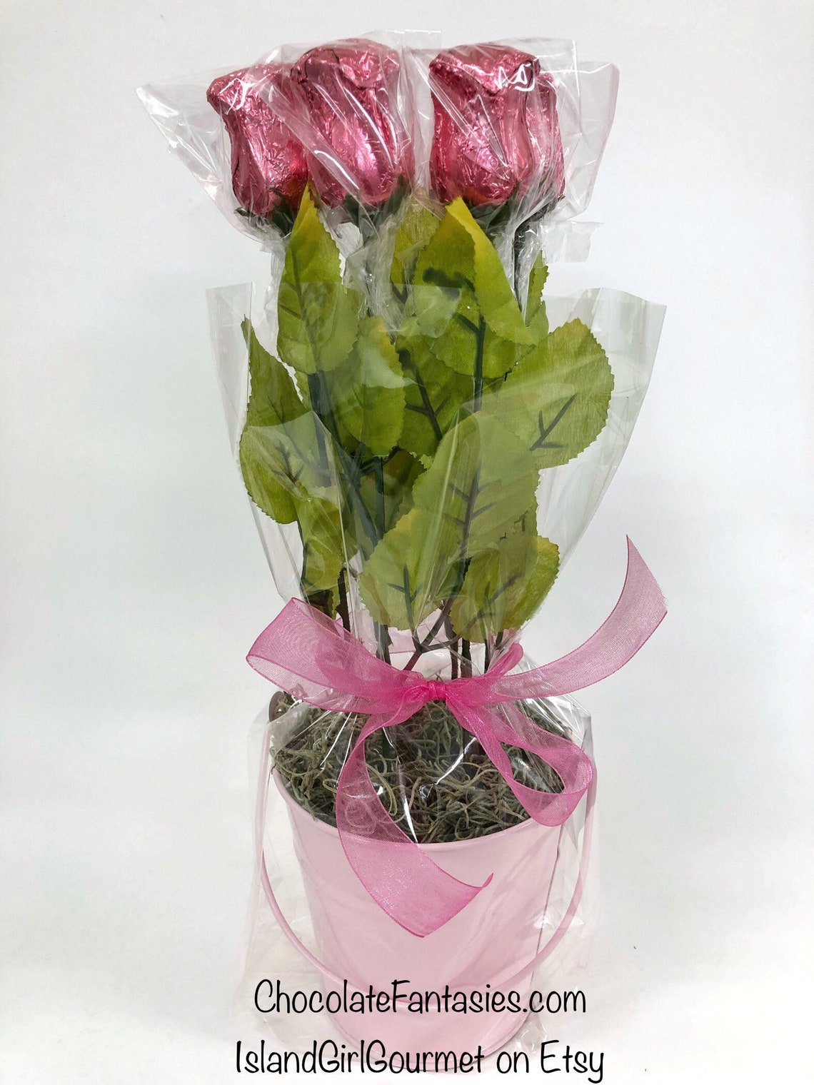 Six Foil Wrapped Chocolate Roses in Painted Metal Pail Any - Etsy