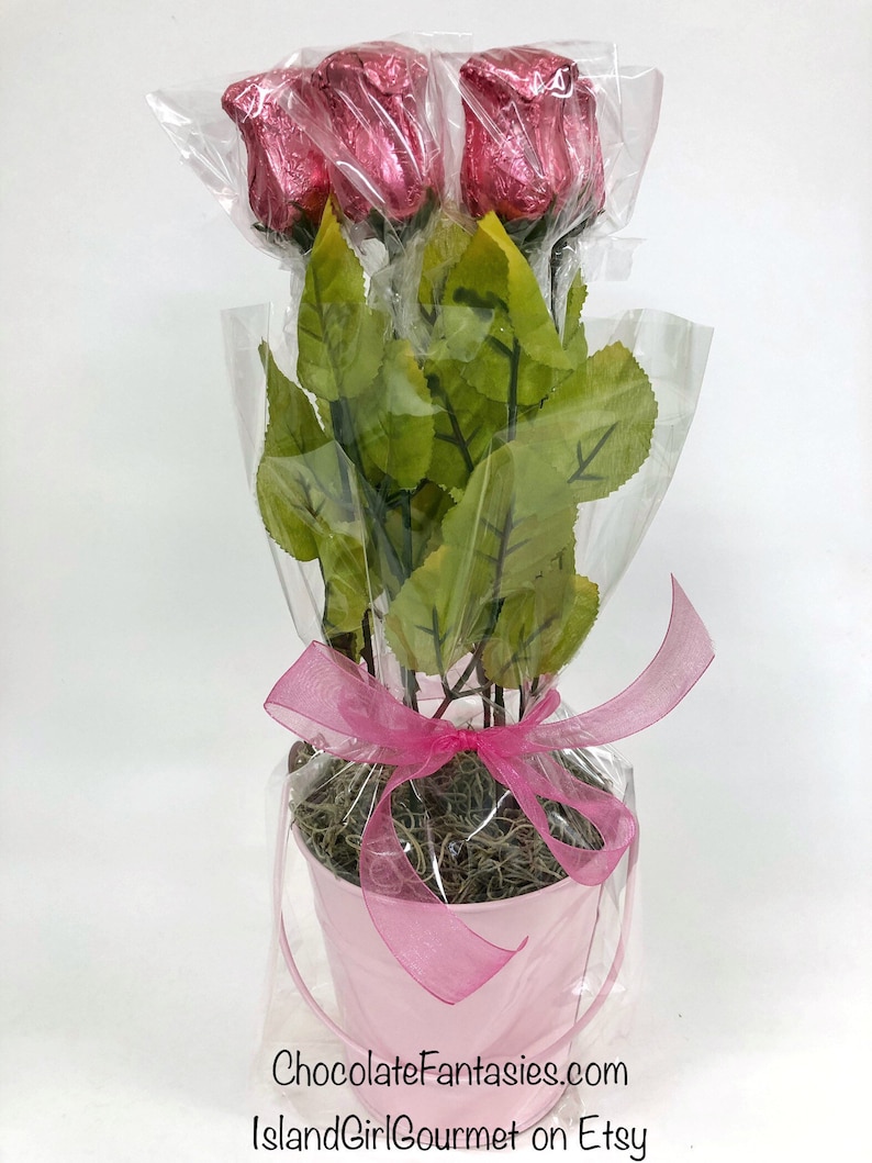 Six Foil Wrapped Chocolate Roses in Painted Metal Pail, Any Foil Color ...