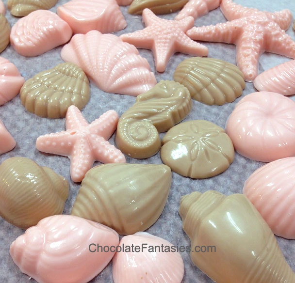 Chocolate Seashells 1 Lb. 45 Pc. Standard Pack 1 - Etsy