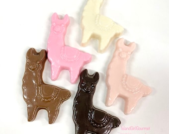Chocolate Crucifix Cross Religious Chocolates Easter Gifts - Etsy