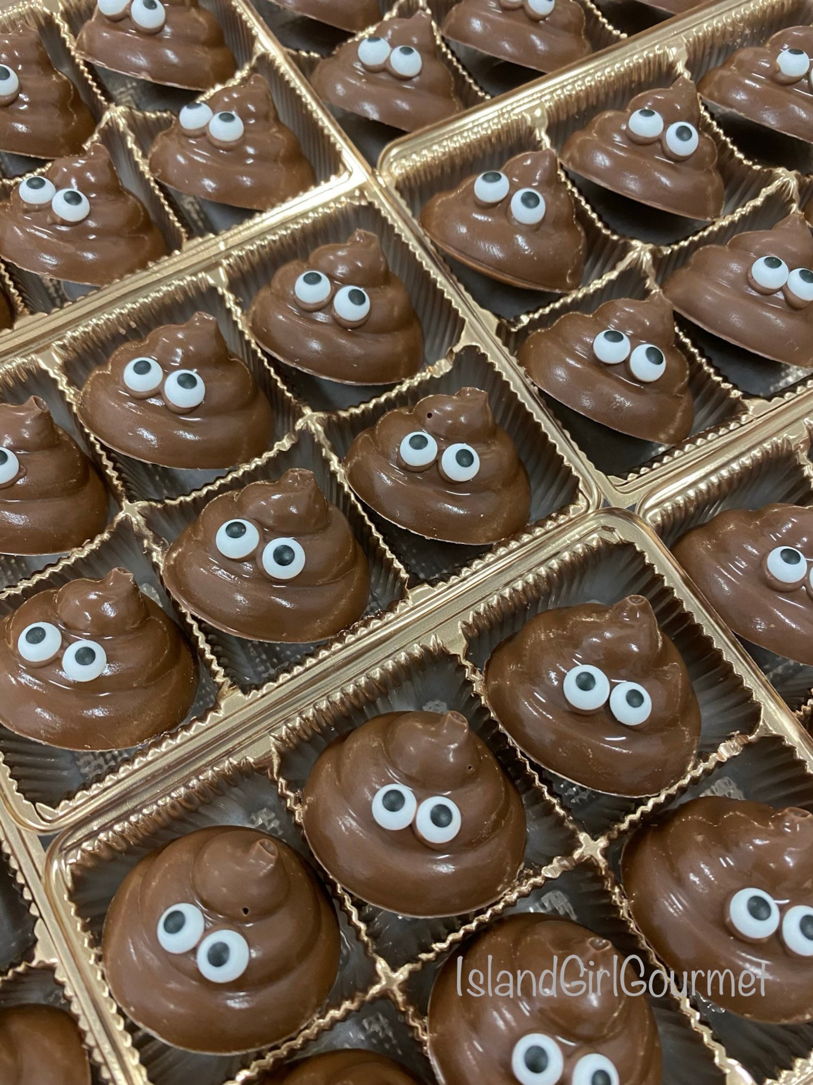 Chocolate Emoji Poop 6 Pack Gift Boxed Crap Shit Turd - Etsy
