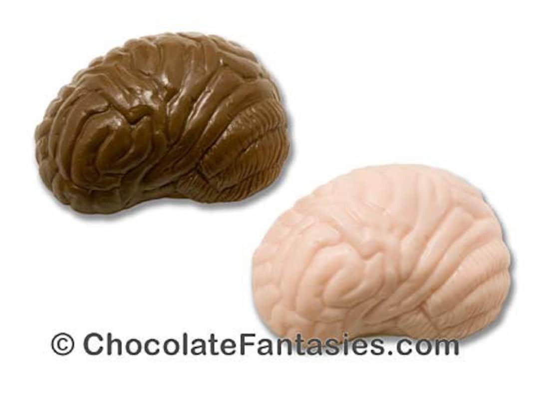 Chocolate Brain, Neurology Chocolates, Psychology, Psychiatry ...