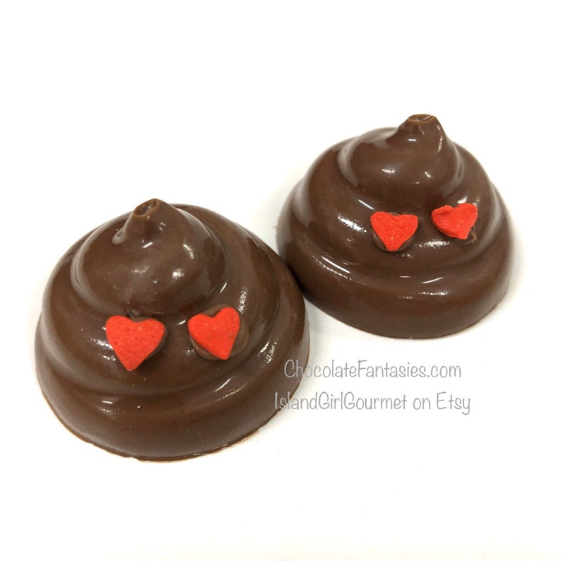 Chocolate Emoji Poop, 6 Pack, Gift Boxed, Crap, Shit, Turd, Insulting ...