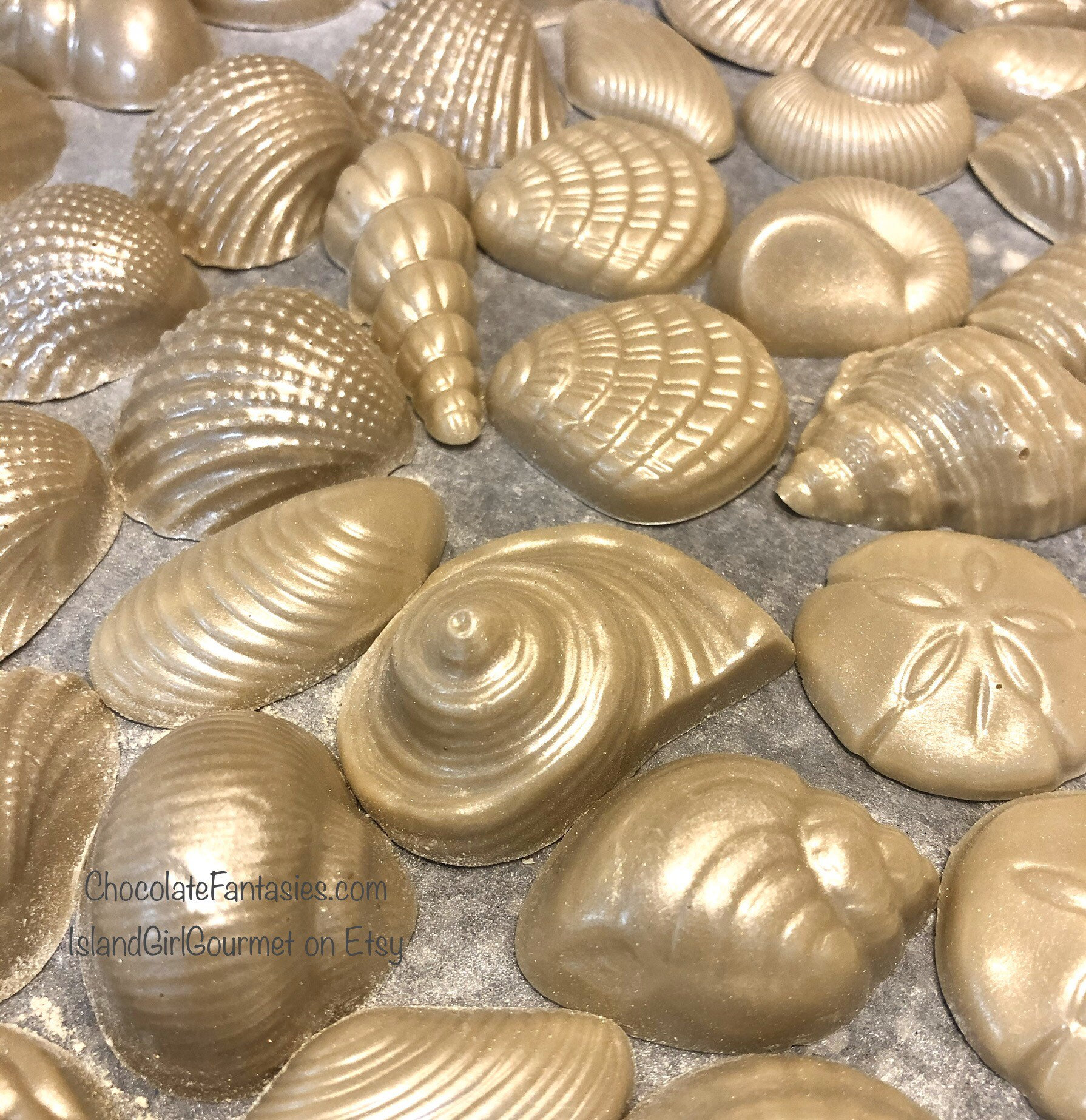 Pearlized Chocolate Seashells 1 Lb, Approx 43 Pcs. Cake Decoration ...