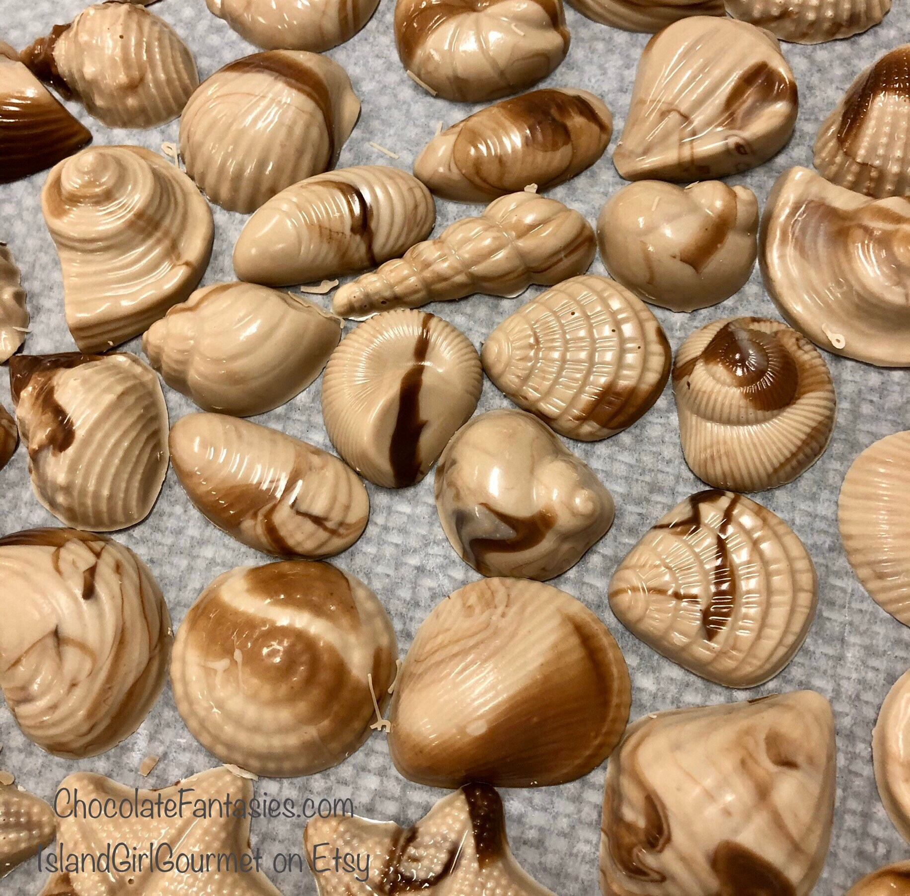 Marbled Chocolate Sea Shells, Half Pound Decoration Package, Any Color ...