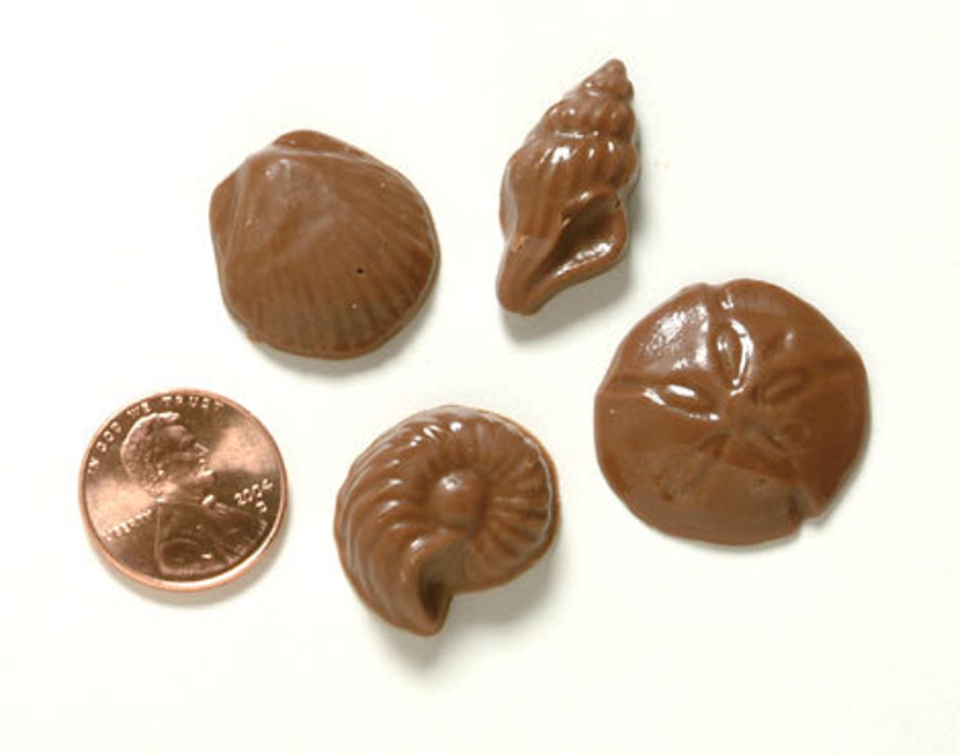 Tiny Chocolate Seashells, Assorted Styles, 1/4 Pound Bulk Boxed ...