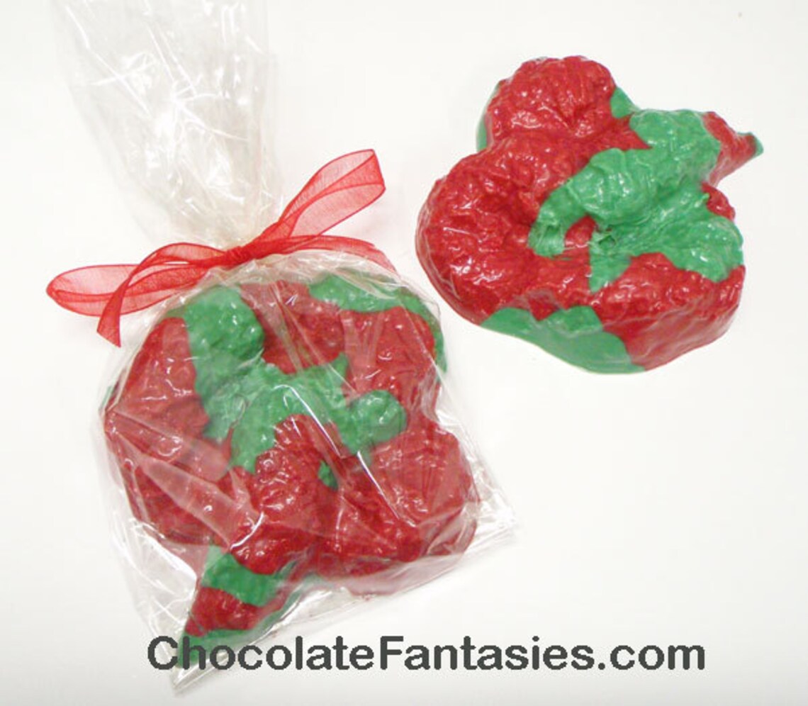 Chocolate Poop, Crap, Shit, Chocolate Dog Turd, Insulting Joke or Gag ...