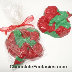 Chocolate Poop, Crap, Shit, Chocolate Dog Turd, Insulting Joke or Gag ...