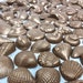 Pearlized Chocolate Seashells 1 Lb, Approx 43 Pcs. Cake Decoration ...
