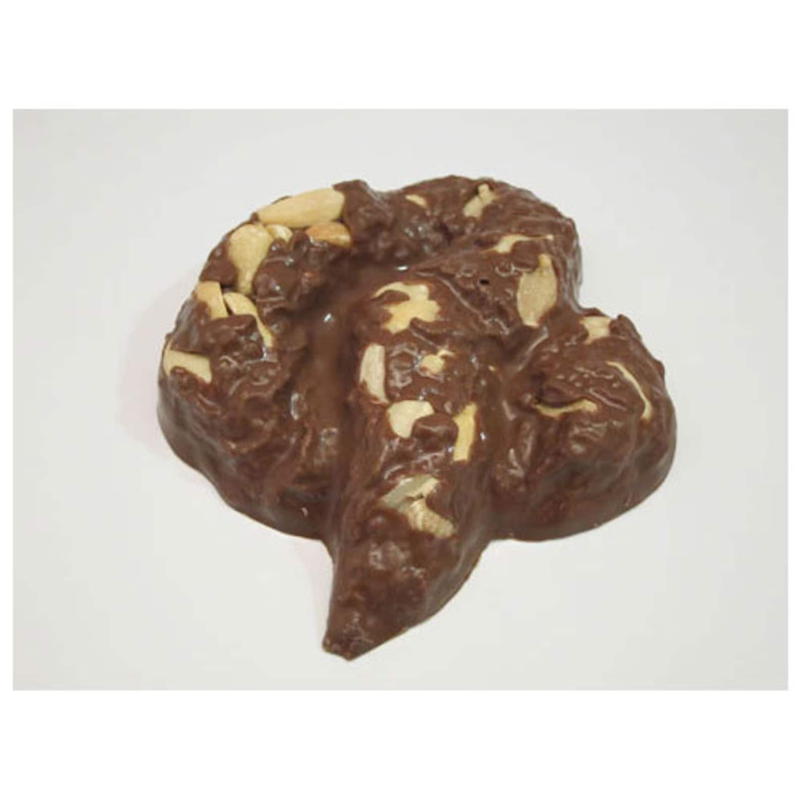 Chocolate Poop Crap Shit Chocolate Dog Turd Insulting Joke - Etsy