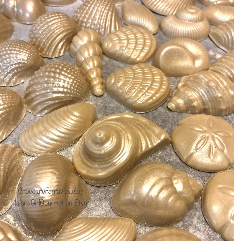 Chocolate Seashells Pearlized 1 Lb., Approx. 45 Pc. Standard Pack, 1 ...