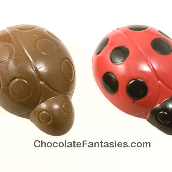 Ladybug Chocolate - Etsy