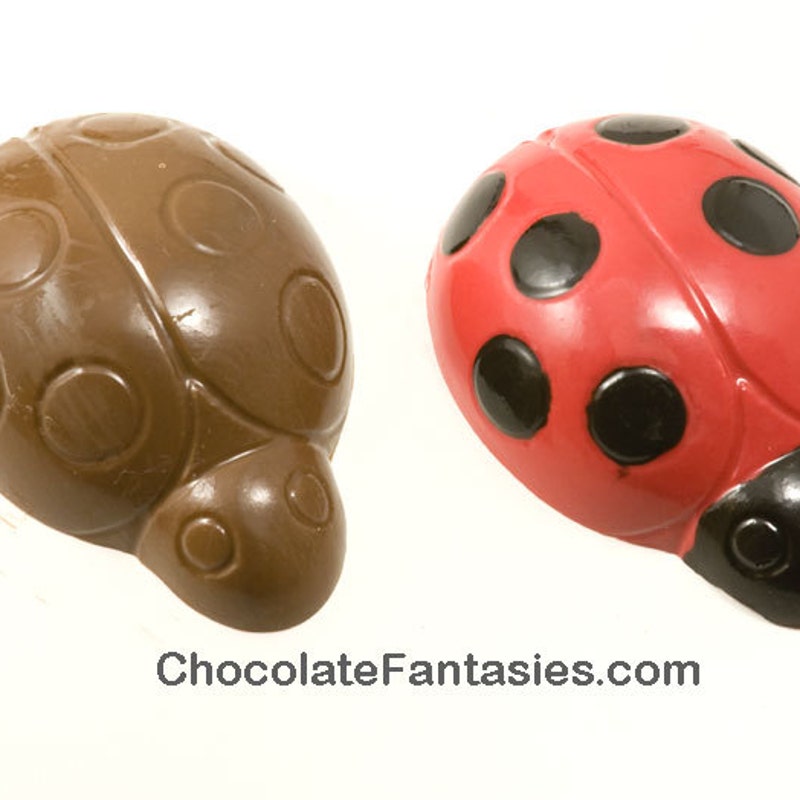 Ladybug Candy - Etsy