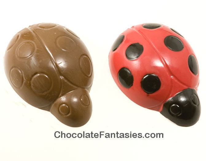 BIG Chocolate Ladybug Poly Bagged Tied With Ribbon Sold by | Etsy