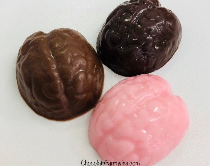 Mini Chocolate Brains 1 Pound Bulk, Neurology Chocolates, Psychology ...