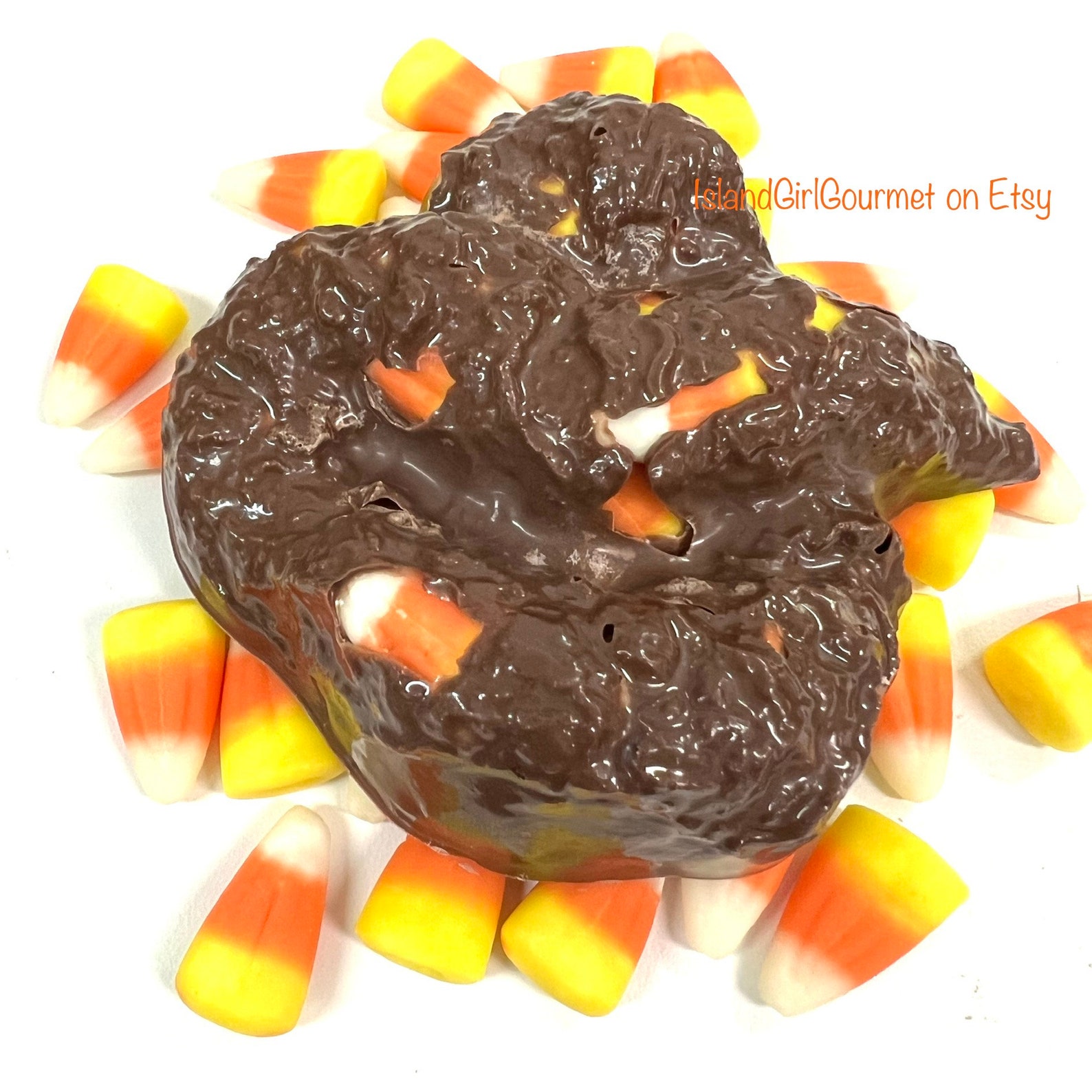 Chocolate Poop Crap Shit Chocolate Dog Turd Insulting Joke - Etsy