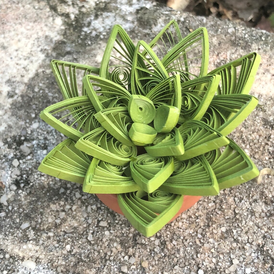 Quilled Paper Mini Succulent Cactus Plant Wedding Favor Gift - Etsy