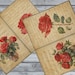 Vintage Red Roses Journal Pages Kit, Vintage Roses Junk Journal for ...