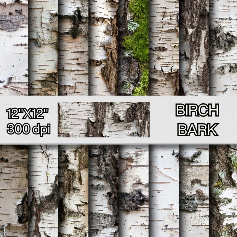 Birch Bark Paper - Etsy