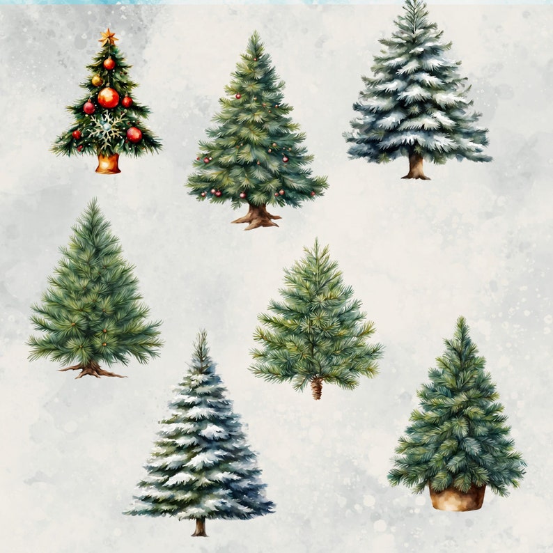 Watercolor Christmas Tree Clipart Bundle: PNG Images (digital Download ...