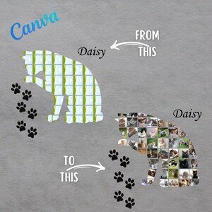 Canva Cat Photo Collage , Create Your Own Cat Shape Photo Collage, Drag ...