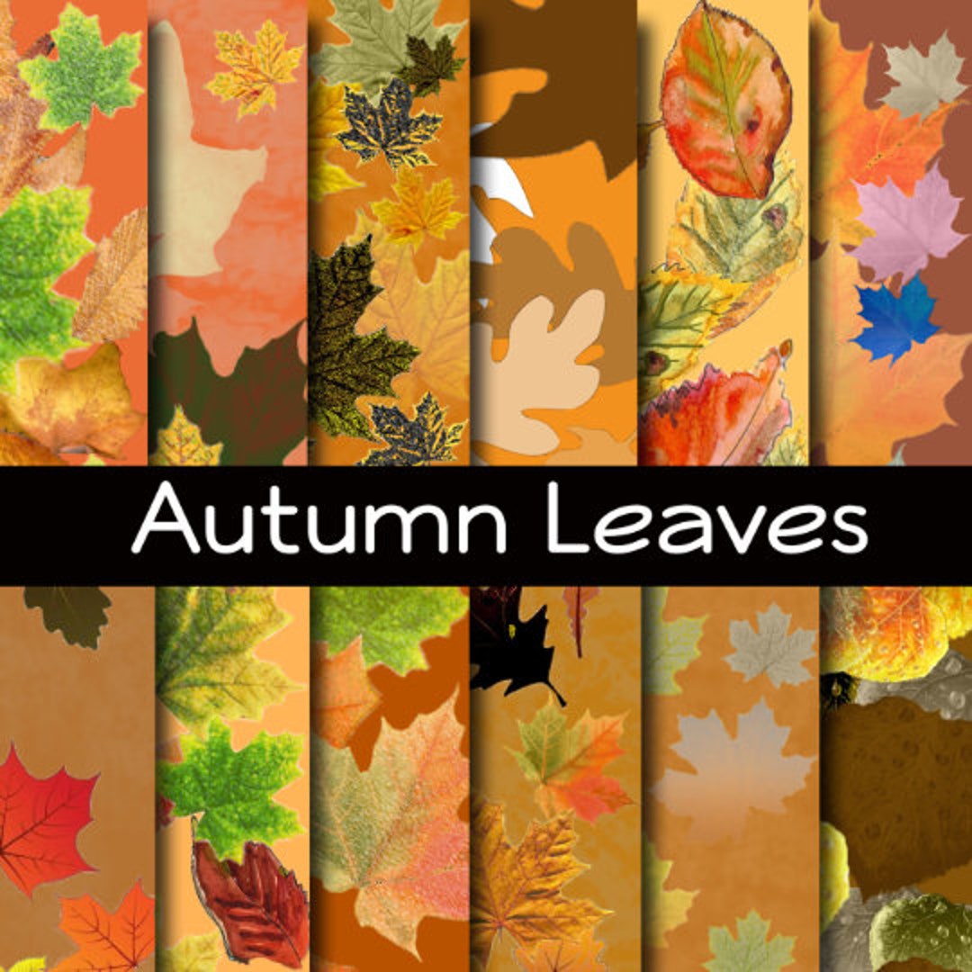 Fall / Autumn Leaves Digital Paper Pack - Leaf Background, Scrapbooking ...