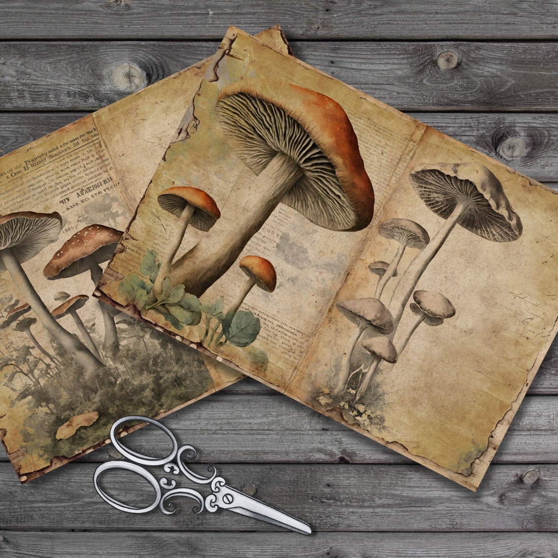 Vintage Mushroom Junk Journal Kit, Mushroom, Journal Insert Pages ...