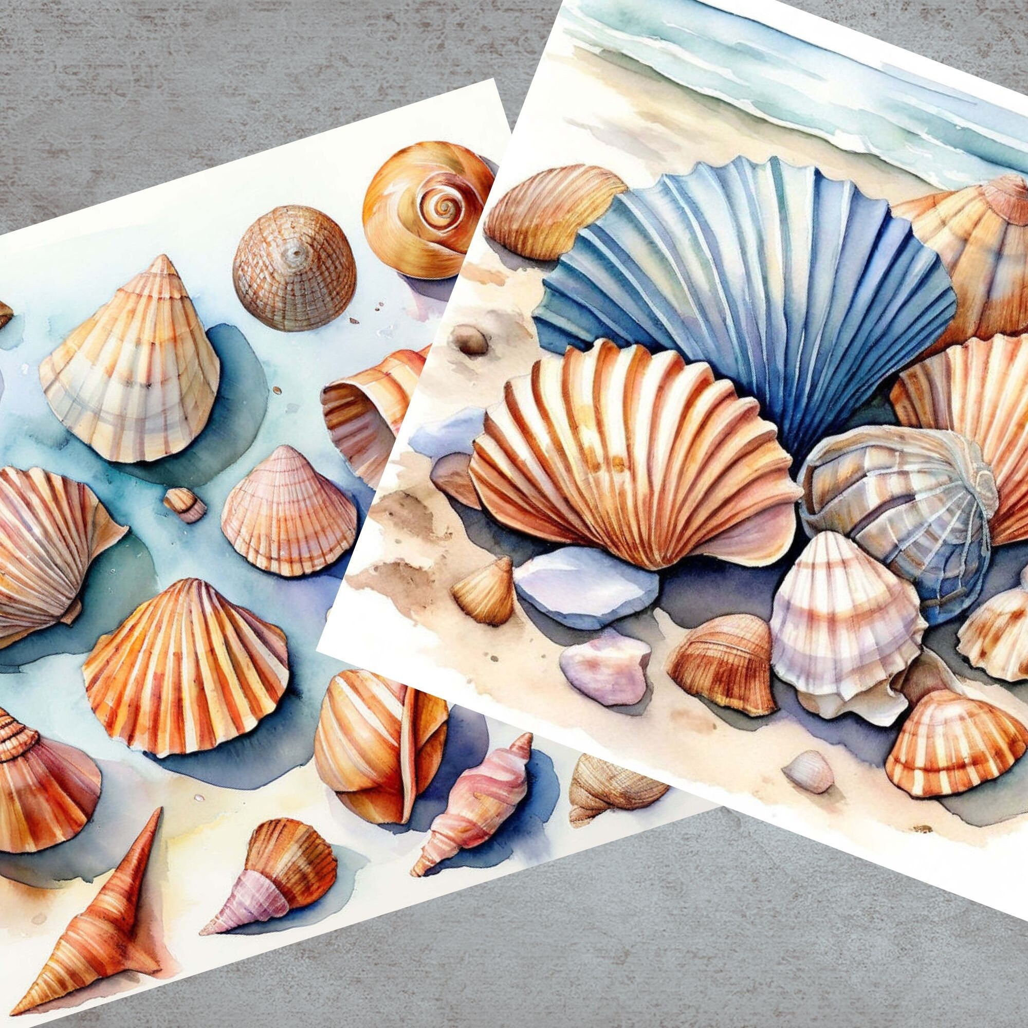 Watercolor Sea Shells Clip Art JPG Images, Shells on the Beach ...