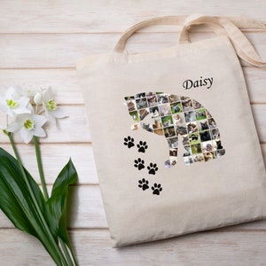 Canva Cat Photo Collage , Create Your Own Cat Shape Photo Collage, Drag ...