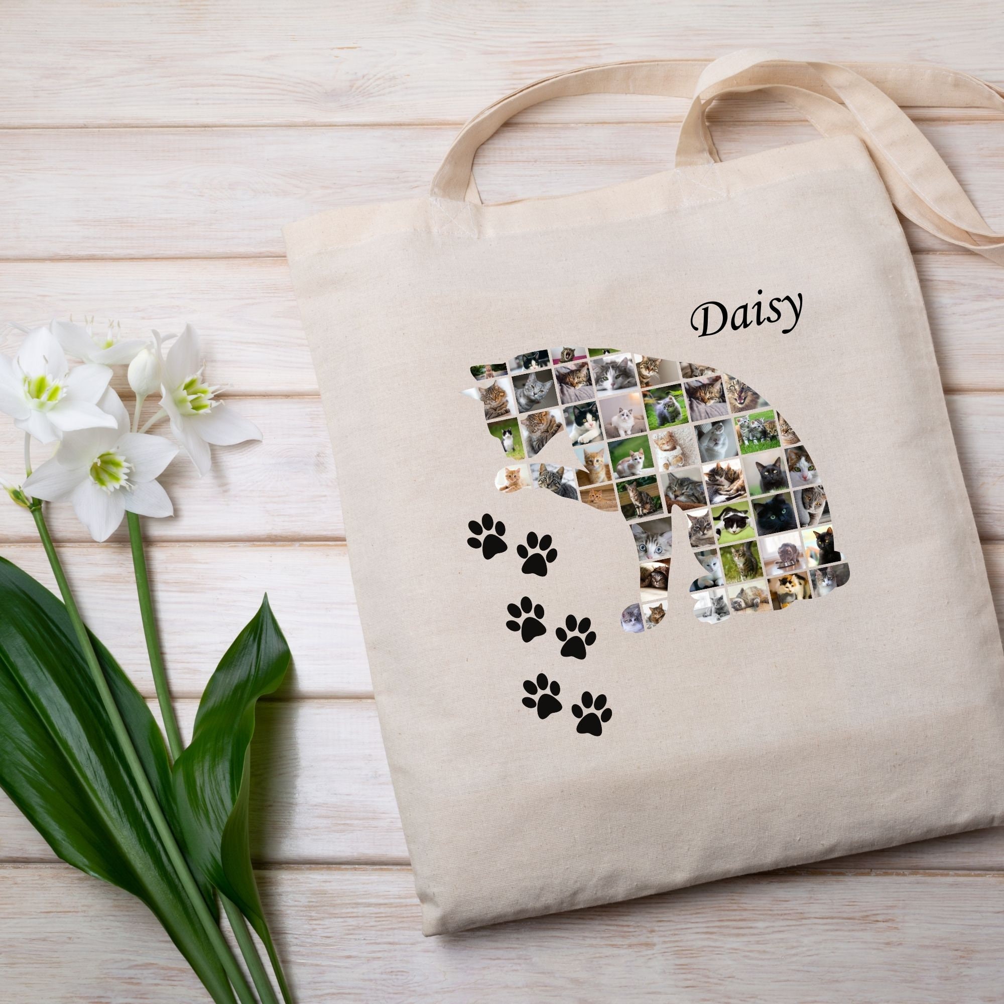 Canva Cat Photo Collage , Create Your Own Cat Shape Photo Collage, Drag ...