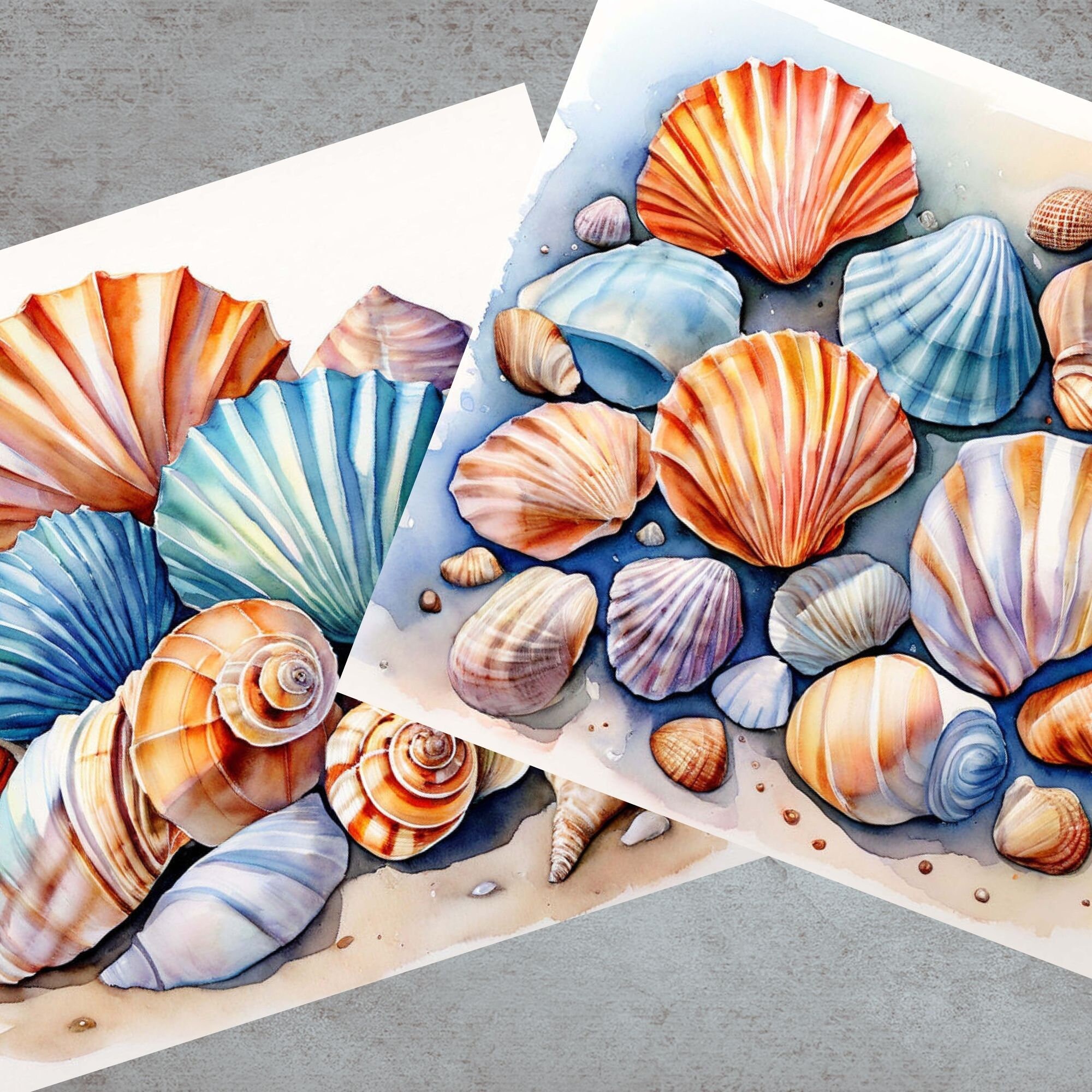 Watercolor Sea Shells Clip Art JPG Images, Shells on the Beach ...