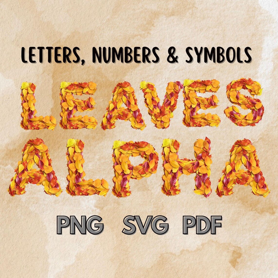 Autumn Leaves Alphabet Letters Clip Art Set, Fall Font SVG, Harvest ...