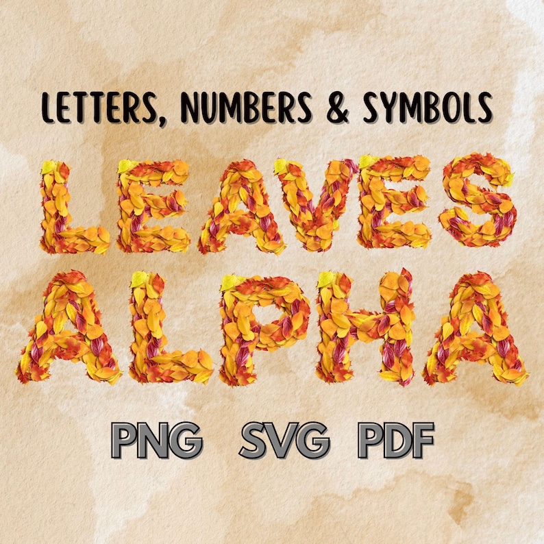 Autumn Leaves Alphabet Letters Clip Art Set, Fall Font SVG, Harvest ...