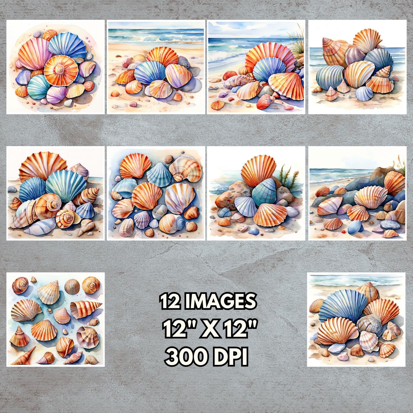 Watercolor Sea Shells Clip Art JPG Images, Shells on the Beach ...