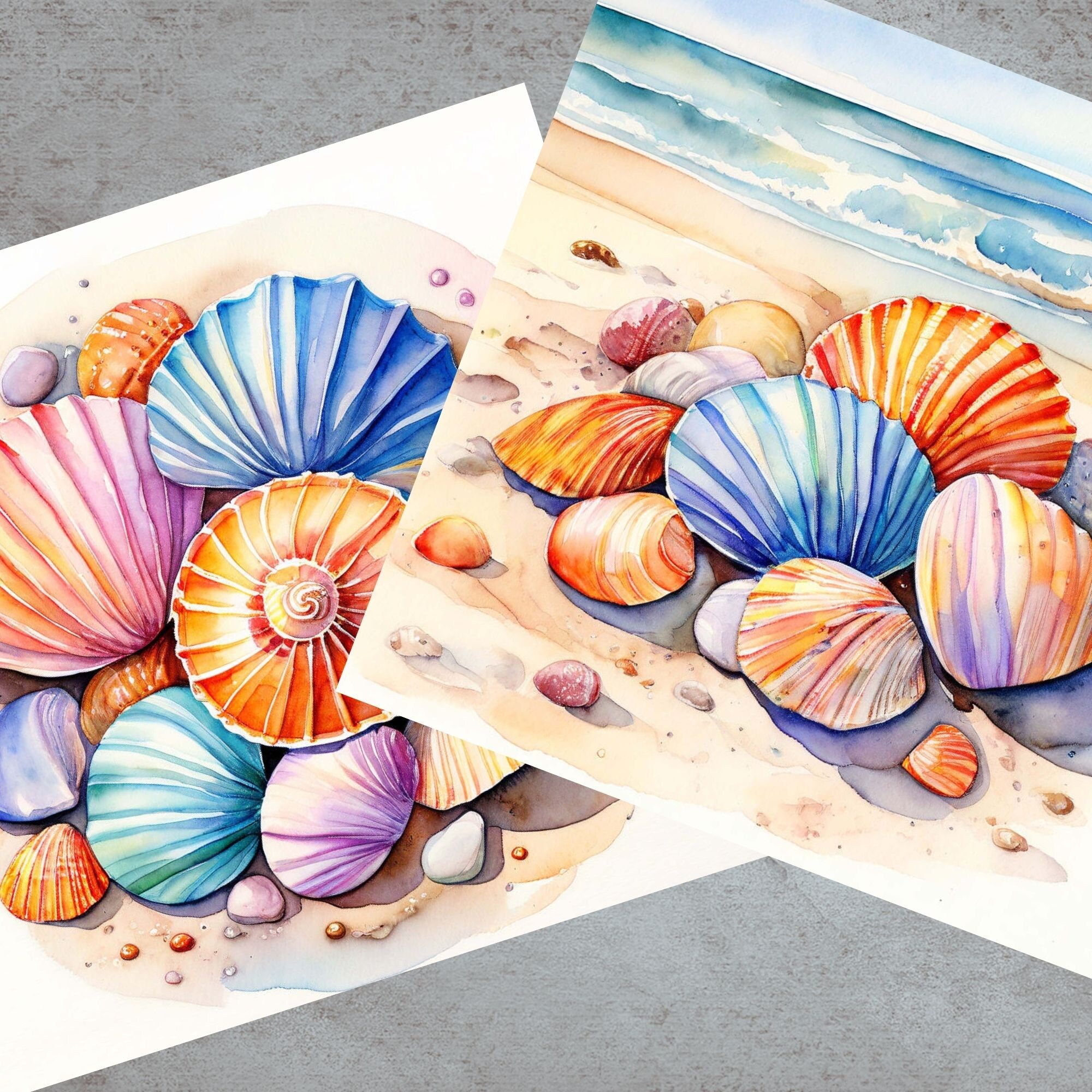 Watercolor Sea Shells Clip Art JPG Images, Shells on the Beach ...