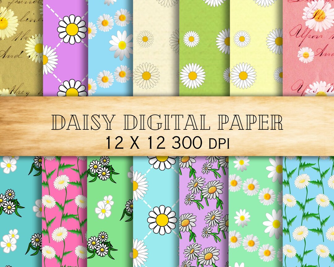 Daisy Digital Paper Pack - Daisy Flower Digital Background - Daisy ...