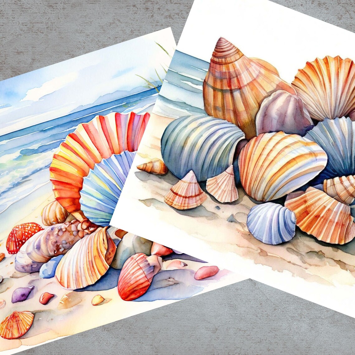Watercolor Sea Shells Clip Art JPG Images, Shells on the Beach ...