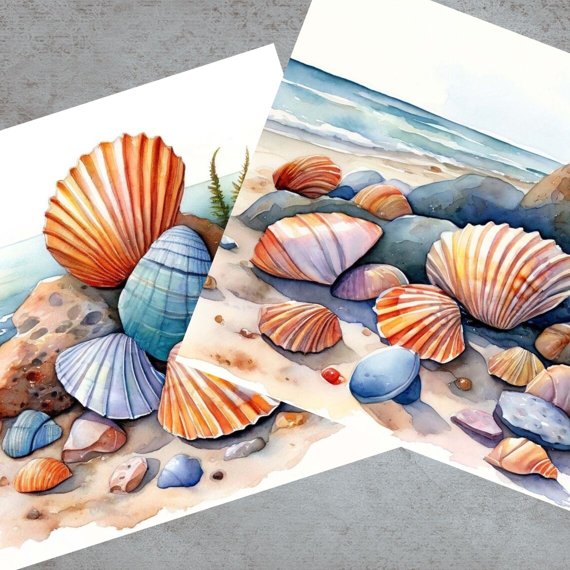 Watercolor Sea Shells Clip Art JPG Images, Shells on the Beach ...