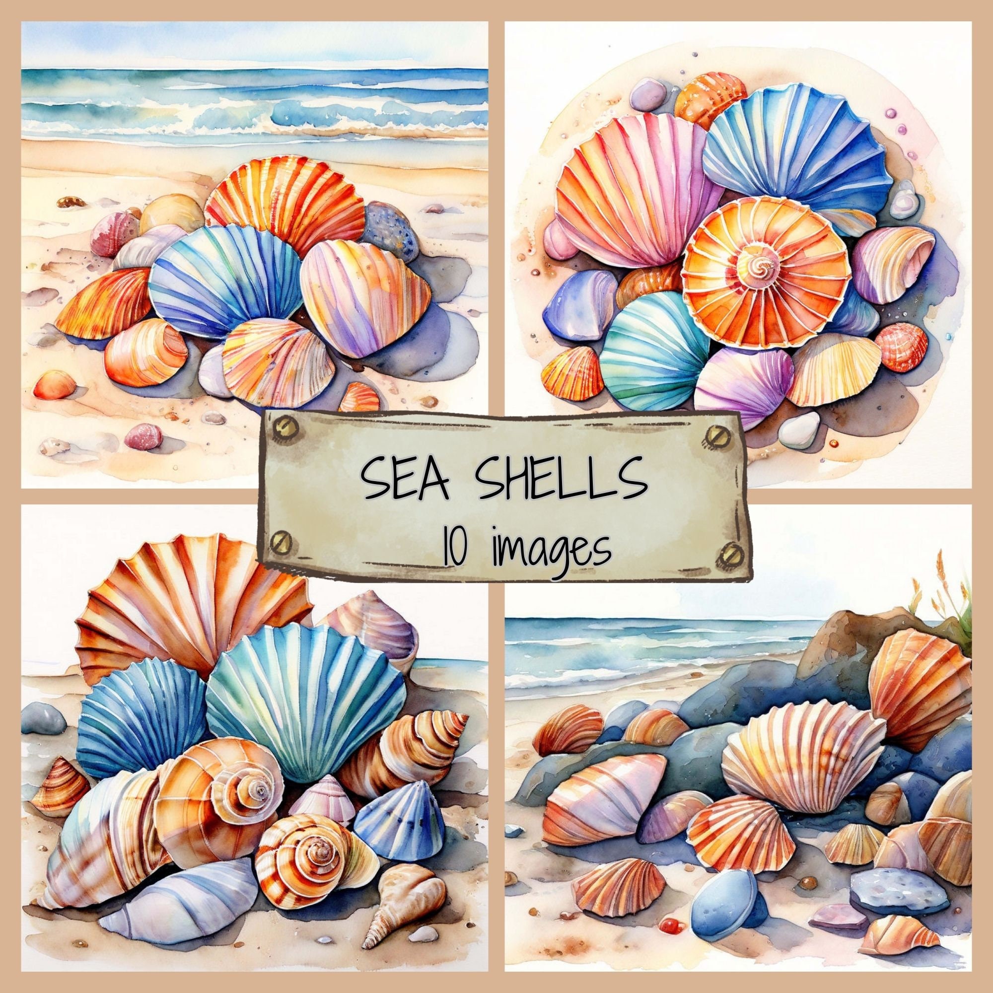 Watercolor Sea Shells Clip Art JPG Images, Shells on the Beach ...