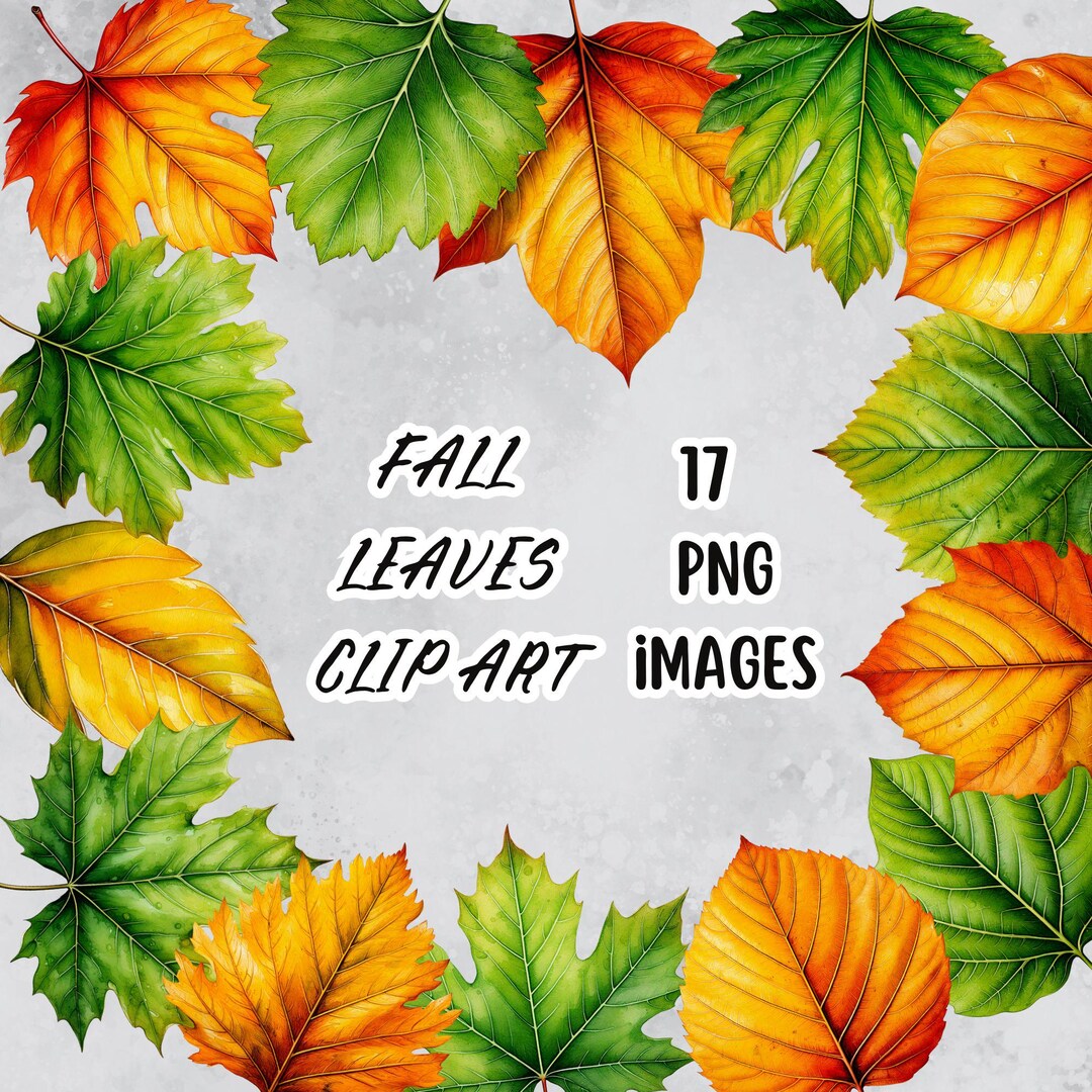 Fall Leaf Watercolor Clip Art Bundle,autumn Leaves Clipart Set ...