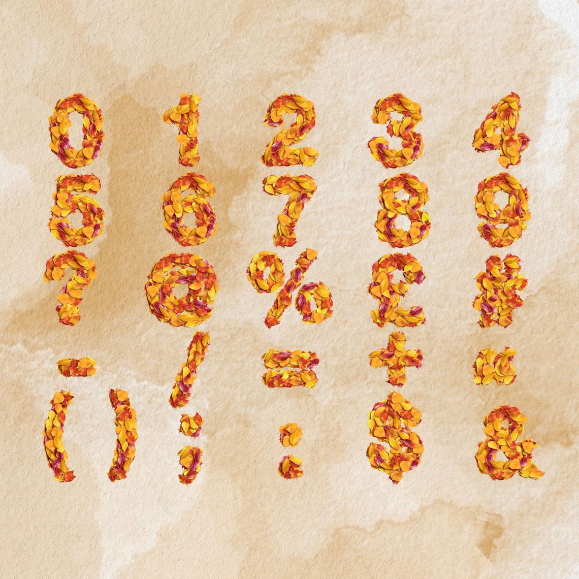 Autumn Leaves Alphabet Letters Clip Art Set, Fall Font SVG, Harvest ...