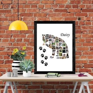 Canva Cat Photo Collage , Create Your Own Cat Shape Photo Collage, Drag ...