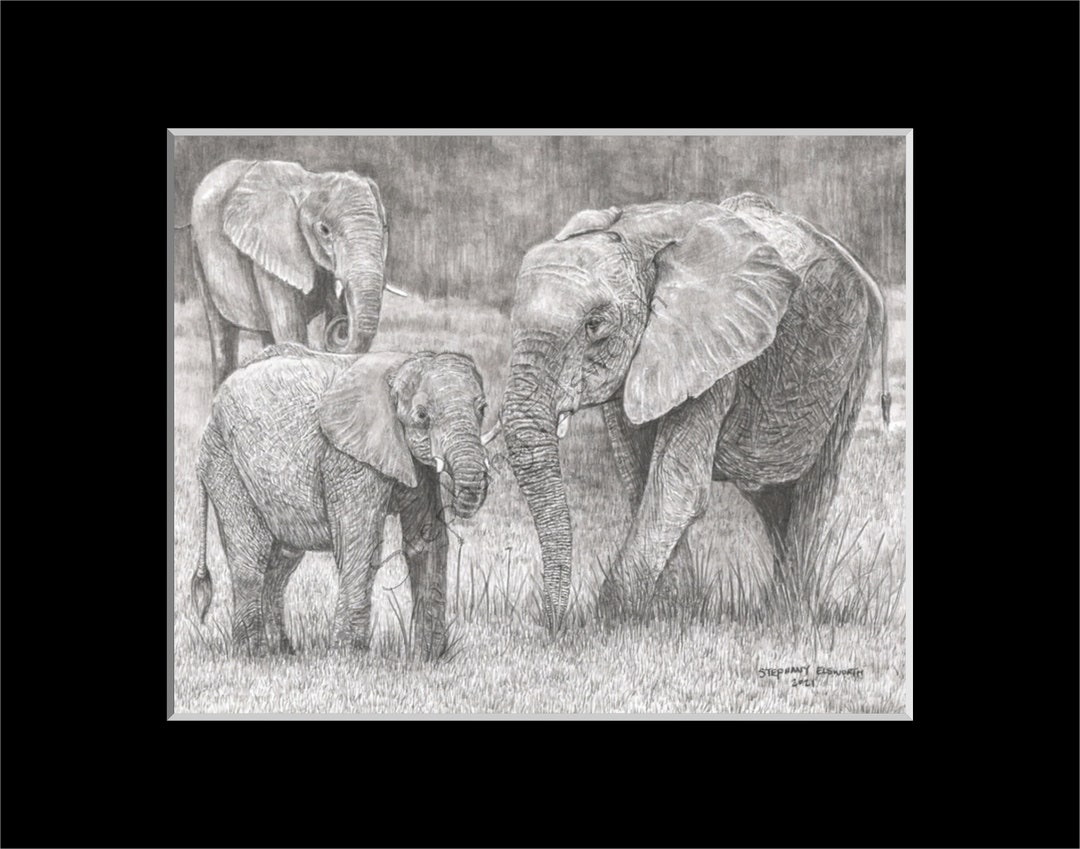 Elephant Family Pencil Drawing 8 X 10 Inch Premium Giclee Fine - Etsy